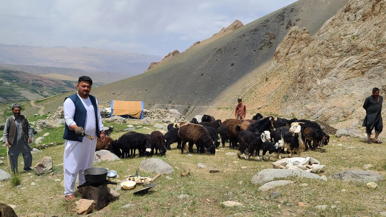 Shepherd Family Living in Mountainous Grassland | Daily Routine ...