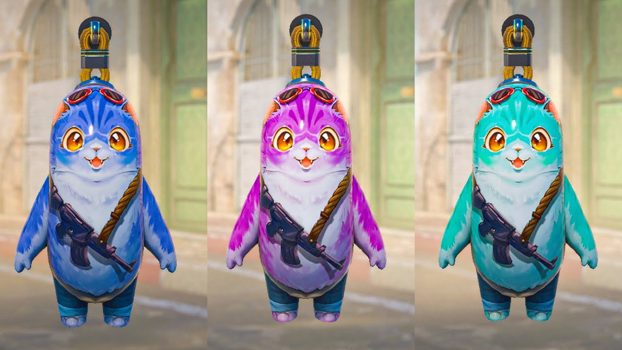 Inspecting ALL RARE Lil Whiskers Charm PATTERNS In CS2 Ingame - CS2 NEW ...