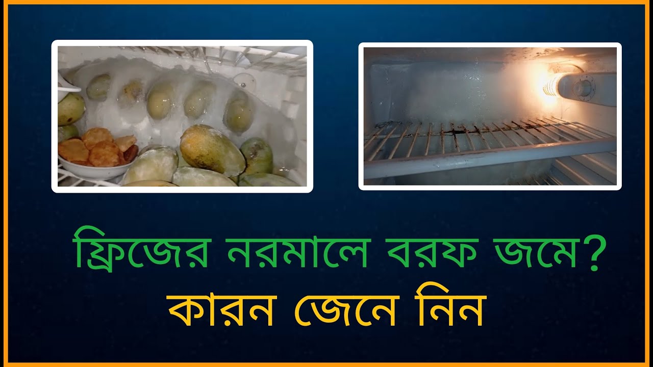 যে কারনে ফ্রিজের নরমালে বরফ জমে । fridge ar normal a borof jomar karon ...