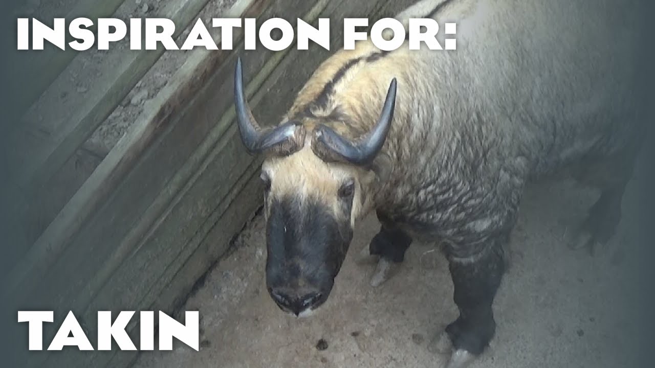 4 Real Takin Habitats! (Planet Zoo: Eurasia Animal Pack Inspiration ...