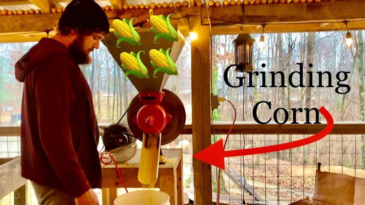Shelling and Grinding Ear Corn - YouTube