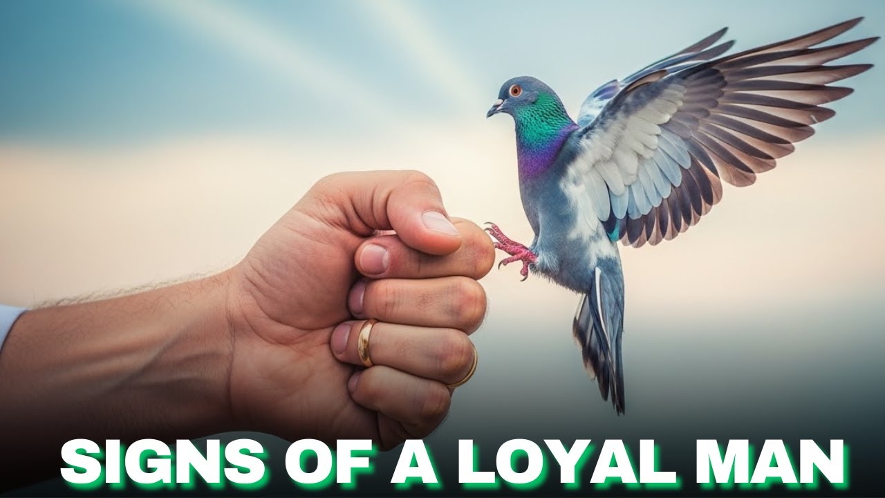 12 Sins of a Loyal Man || 💓 What He Endures for the One He Loves - YouTube