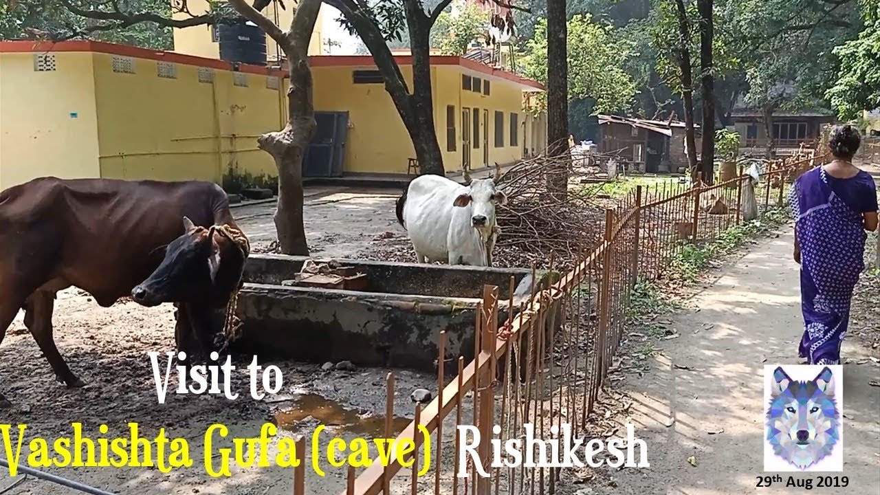Visit To Vashishta Gufa (Cave) | Places to Visit in Rishikesh 31st Aug ...