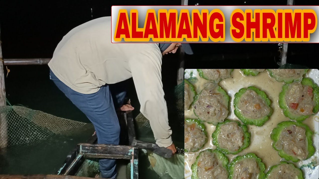 Panghuhuli ng Alamang gamit ang sigpaw "Panalok" /Catch & Cook. Occi ...