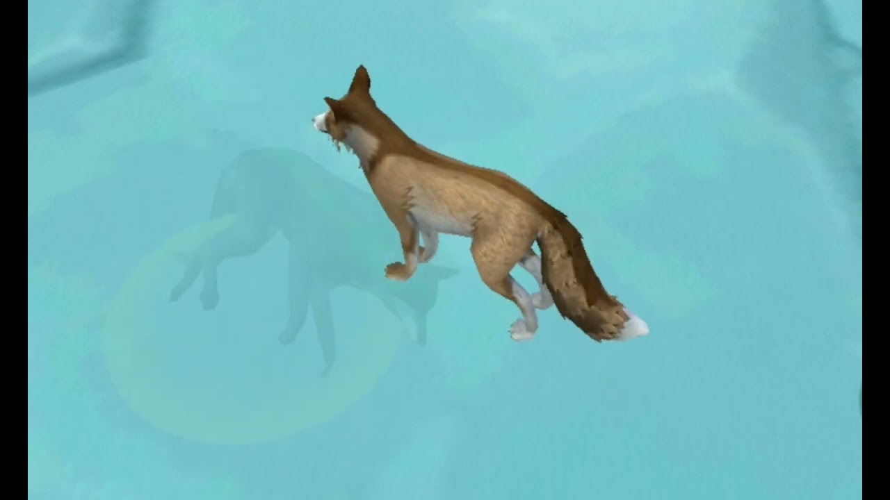 Wildcraft Love fox Story - YouTube