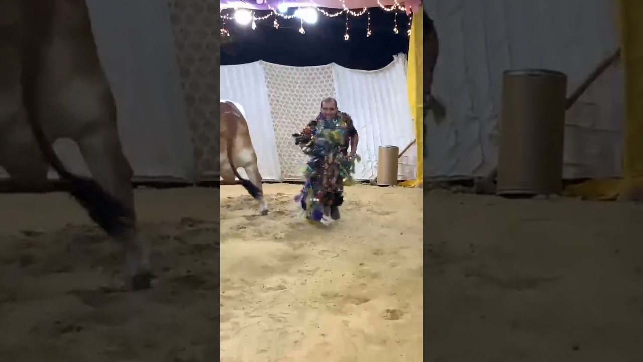 boo bakra🐐😂 - YouTube