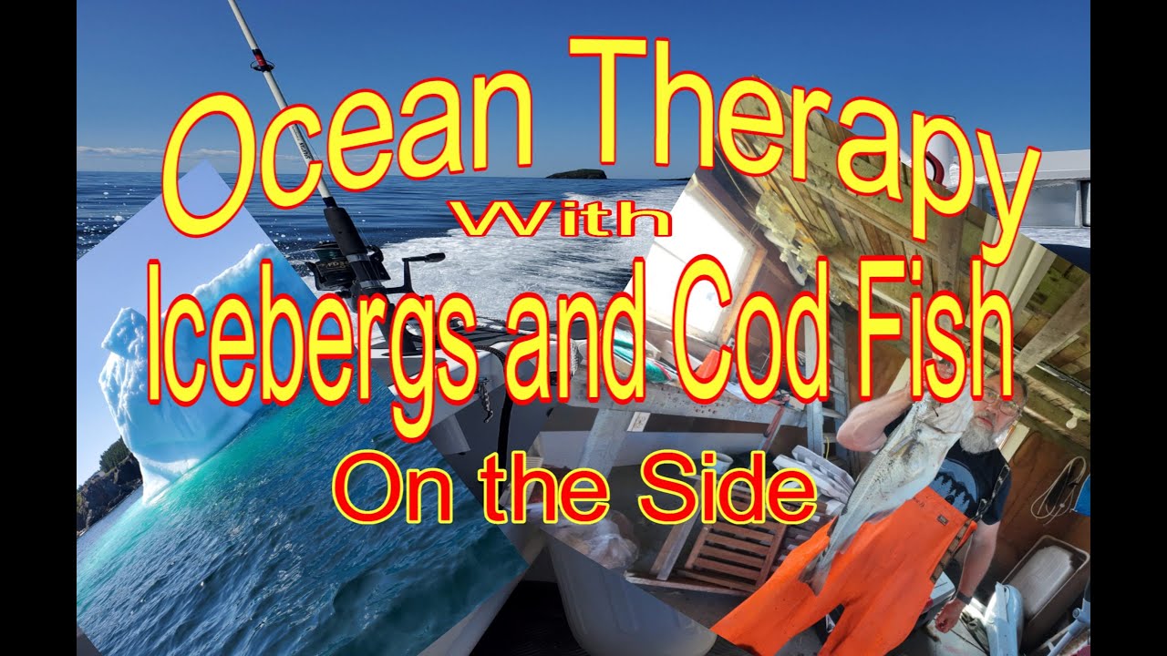 Cod Fishing Iceberg Watching Ocean Therapy - YouTube