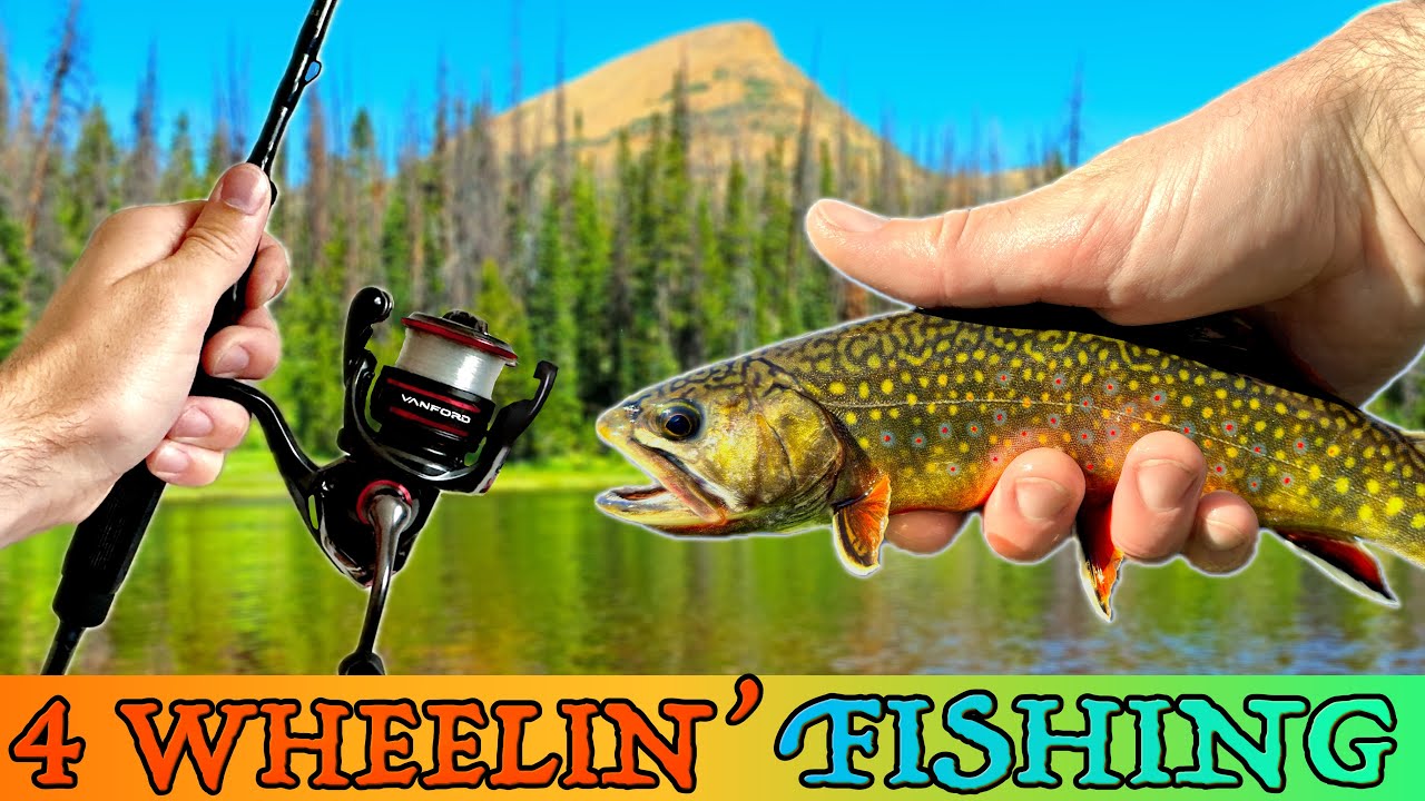 10,000 ft Utah Mountain Fishing and 4 Wheeling for Multi Species Trout ...