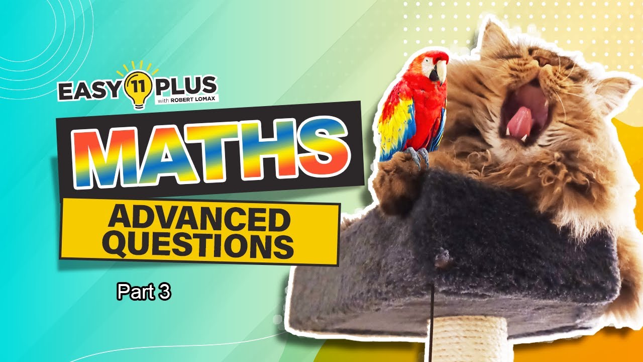 11 Plus Maths | Advanced Parrot Studies | Part 3 | Easy 11 Plus LIVE 75 ...