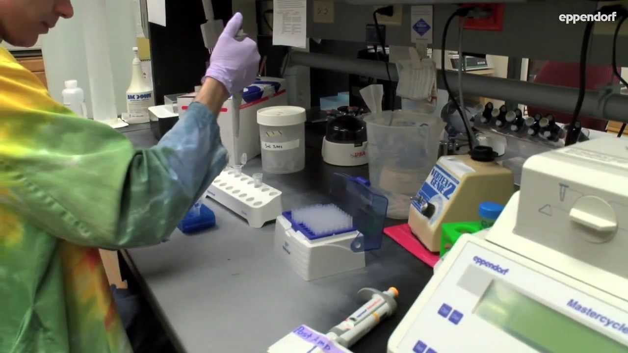 Eppendorf Protein Lobind Tubes Fisher Scientific