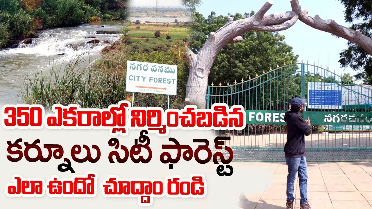 Way To Kurnool City Forest | Must Visit Places In Kurnool City ...