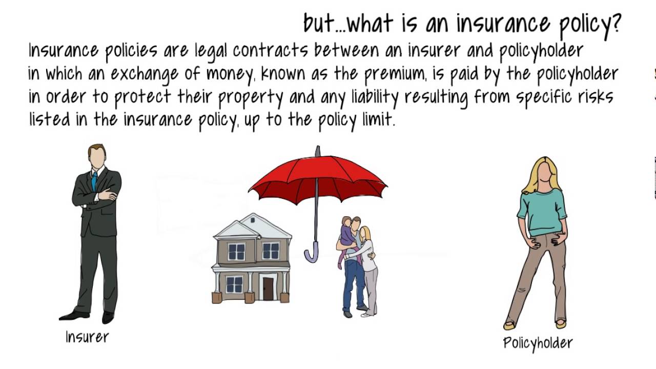 New Level Partners: Introduction to Risk Transfer and Policy Design ...