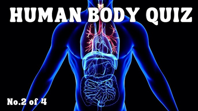 Bones Of The Body Quiz