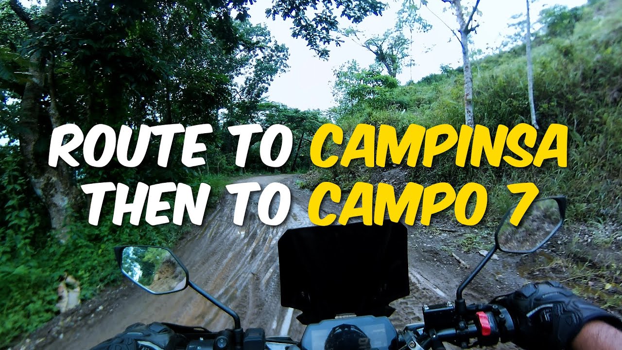Route to Campinsa then to Campo 7 (man-made forest) - YouTube