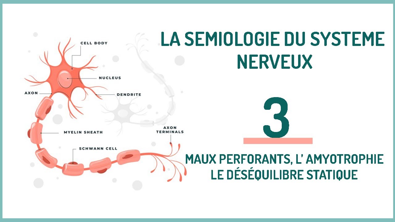 EPISODE 3: La sémiologie neurologique ( MAUX PERFORANTS; L’ AMYOTROPHIE ...