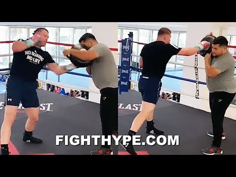 CANELO PUNCHING HARD AS A MULE KICK; PERFECTING SWEET CHIN MUSIC FOR ...