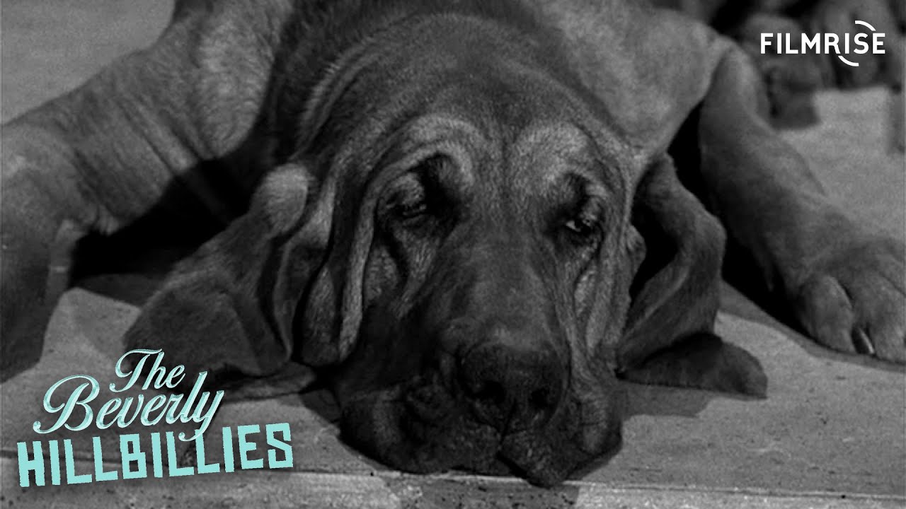The Beverly Hillbillies - Season 1, Episode 30 - Duke Becomes a Father ...