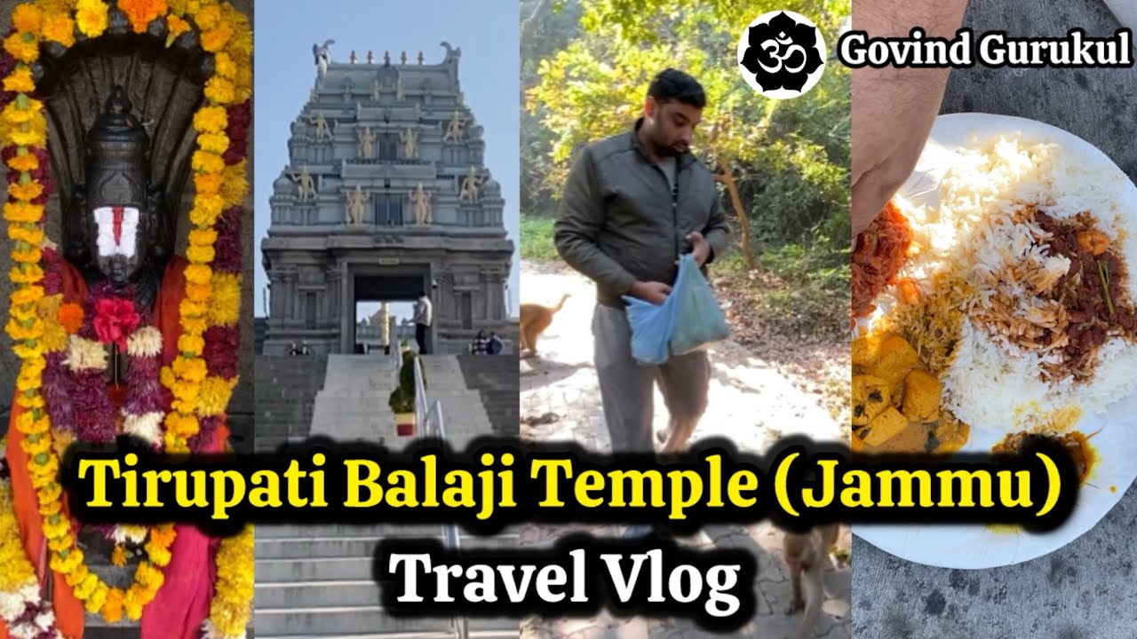 Tirupati Balaji Temple Travelling Vlog (Jammu) And Monkey Sewa At Manda ...