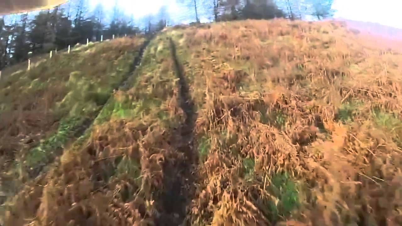 CRF 250X WITH MITAS C16 HARD ENDURO TYRE TIRE - YouTube