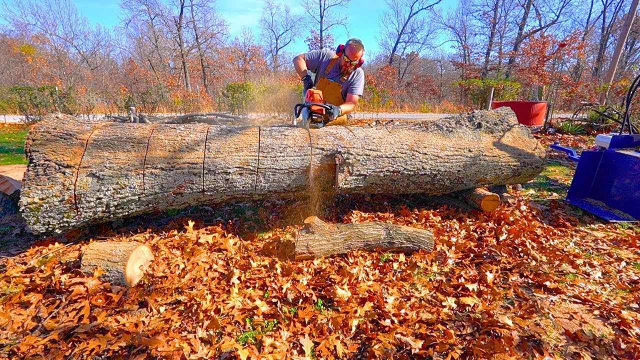 This Log was Worth the Trip... - YouTube