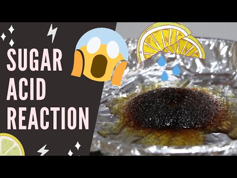 Amazing Chemical Reaction I Sugar and Sulfuric Acid Reaction
