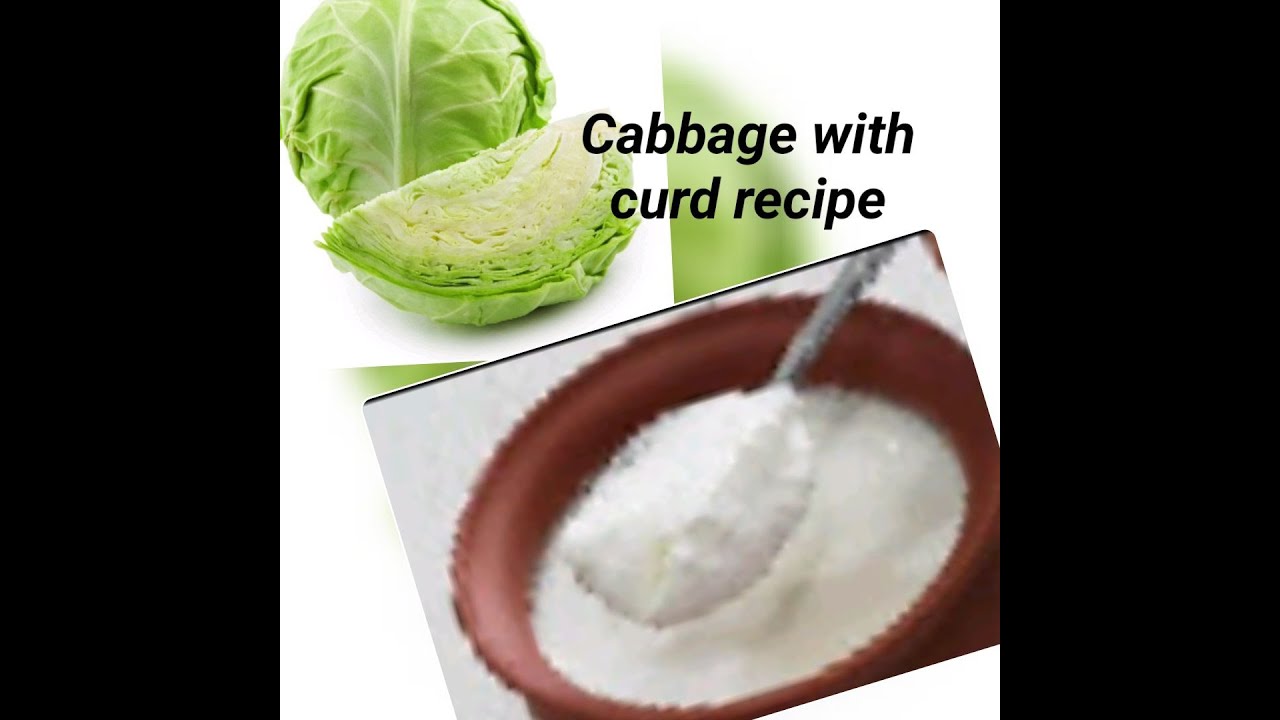 Cabbage with curd recipe.. Side dish for chapati or rice... - YouTube