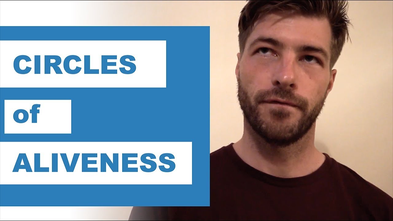 Use your 'Circles of Aliveness' chart to figure out what MATTERS to you ...