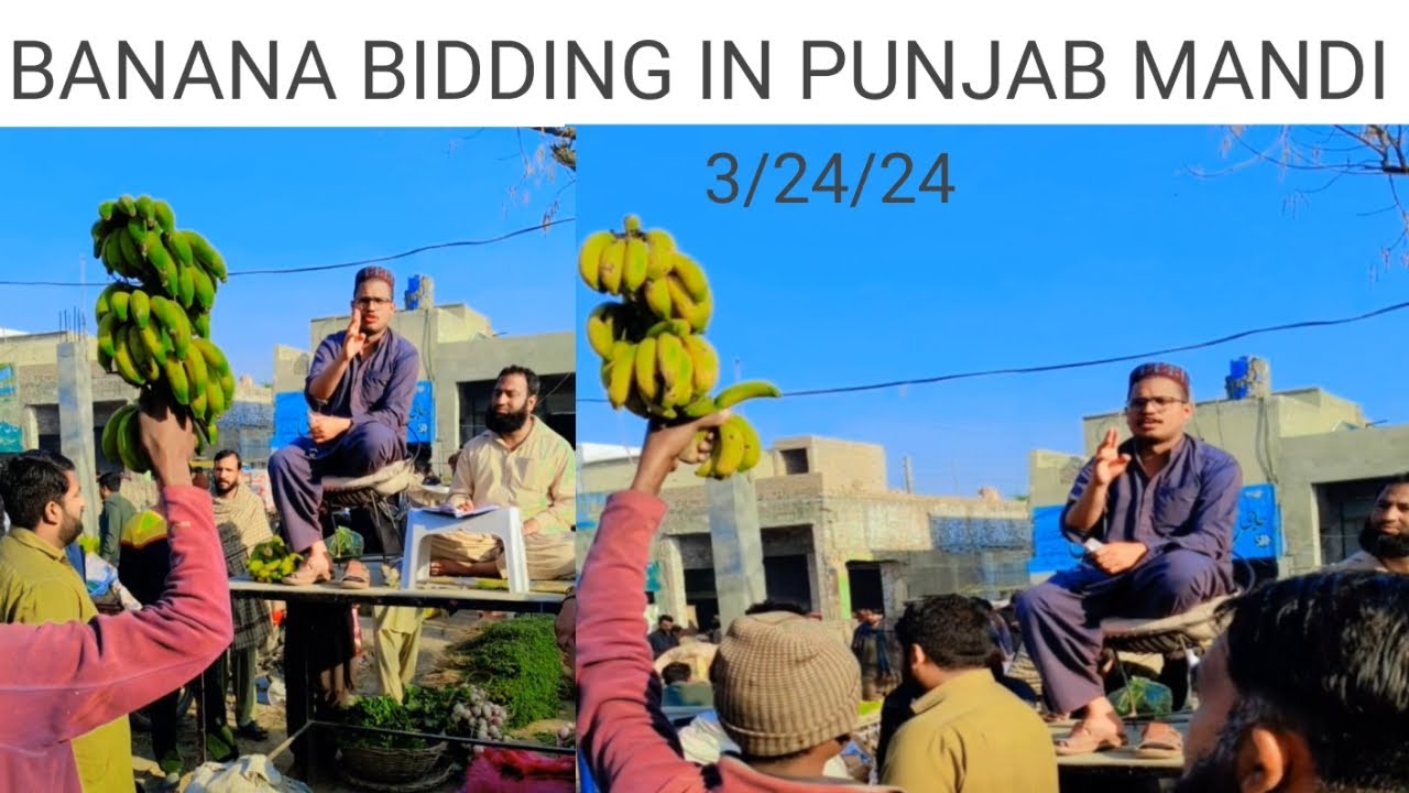 Banana price update today sabzi mandi Punjab| fruit mandi| #food # ...