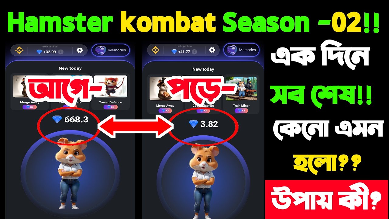 Hamster kombat new update | hamster season2 | একদিন সব কার্ড কেনো আপডেট ...