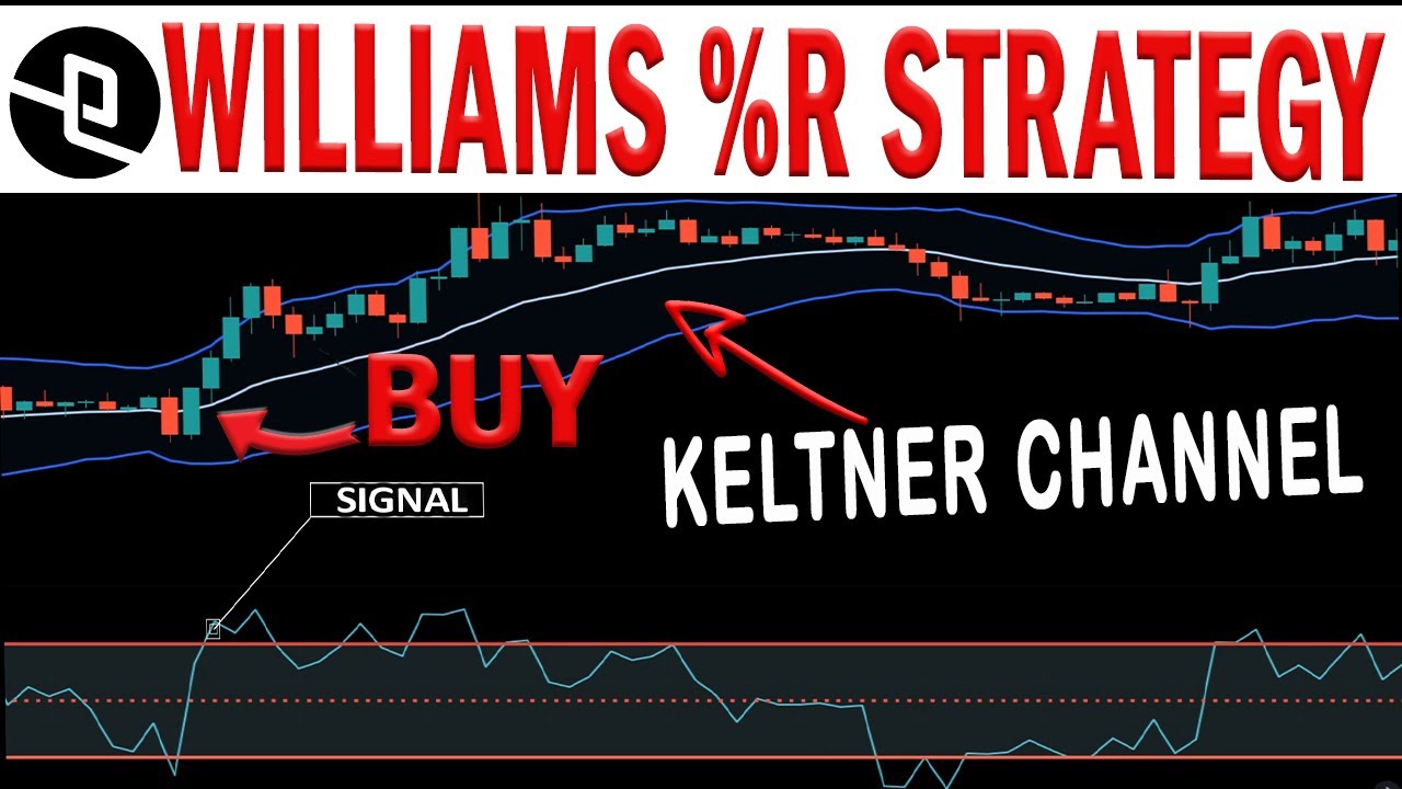 TRADING STRATEGY: Williams %R indicator + Keltner channel strategy/ everything you need to know ...