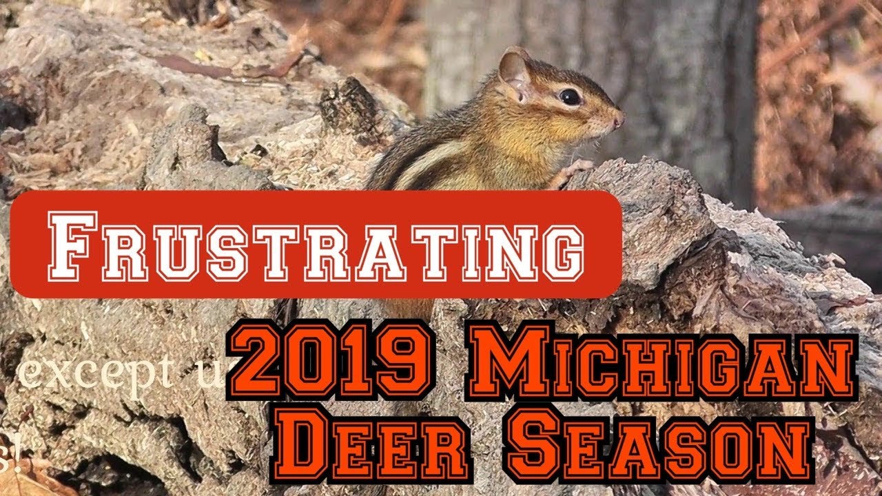 2019 DEER SEASON I’M FRUSTRATED! - YouTube