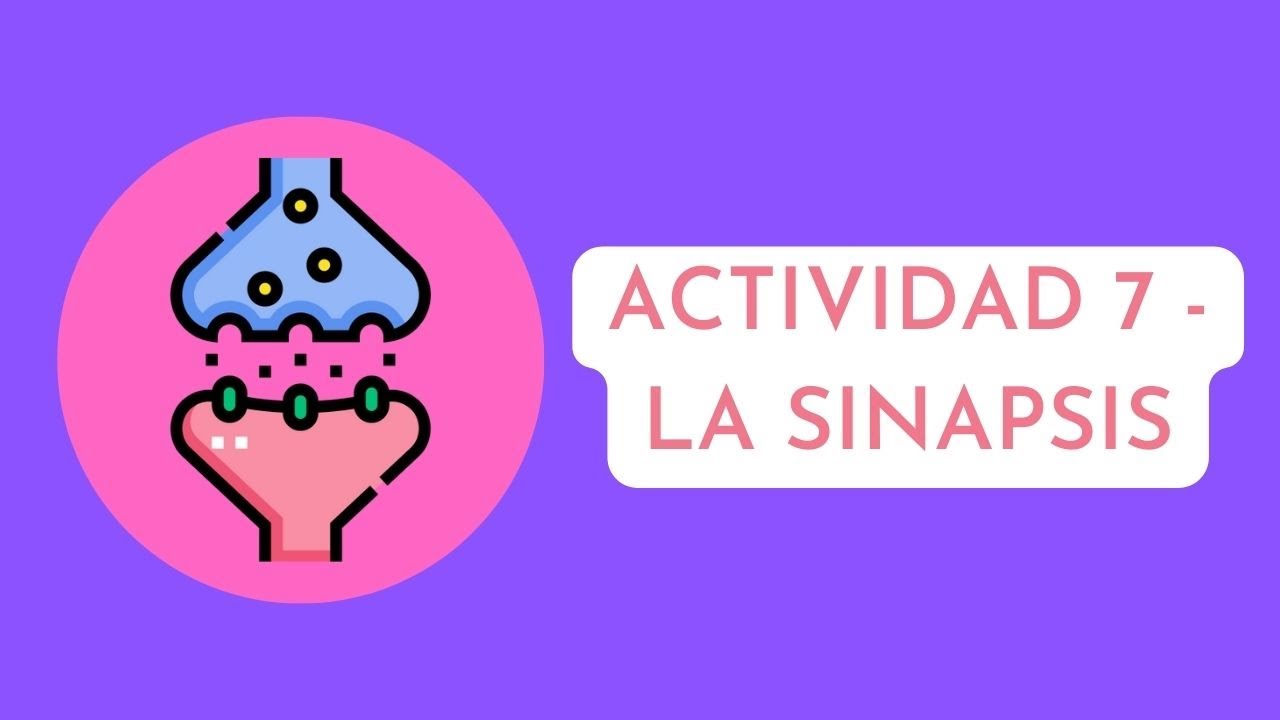 Actividad 7 - La sinapsis - YouTube