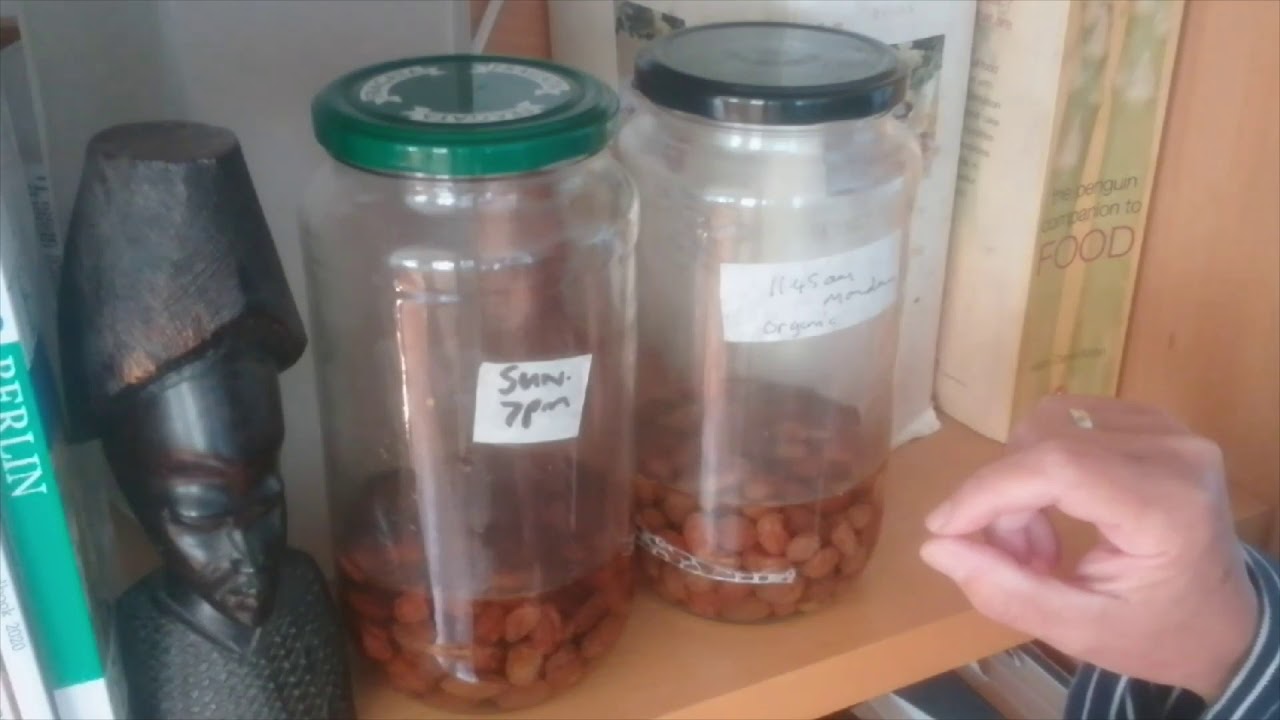 Fermented raisin water bread - checking on the ferment - YouTube