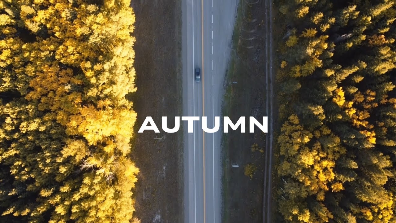 Colours of autumn await in the pass. Crowsnest pass Alberta. #crowsnest ...