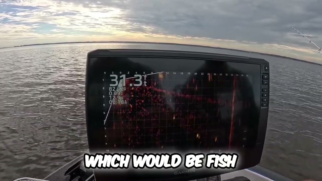 Mastering Live Scope: Accurate Fishing Techniques Revealed - Fishing