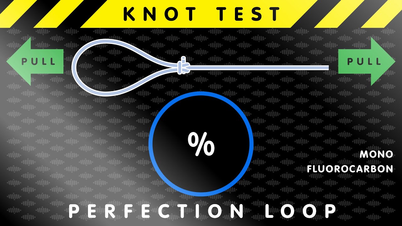 BEST KNOT TEST : Perfection Loop - YouTube
