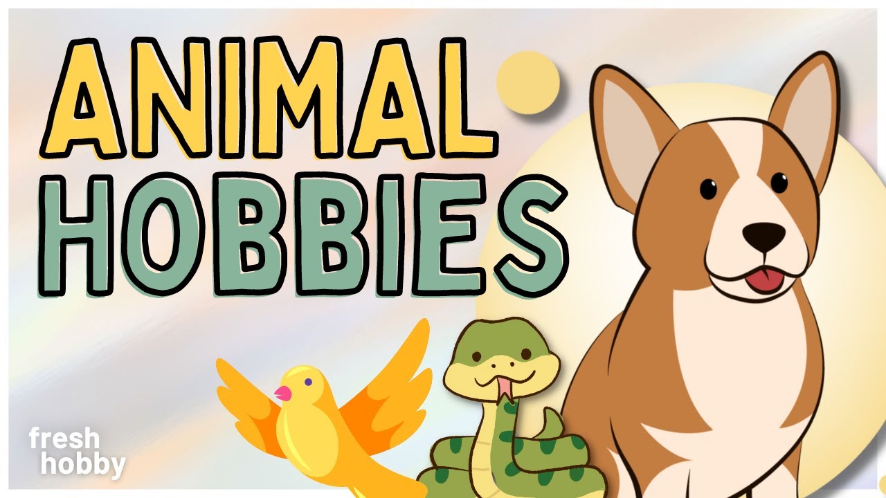 ANIMAL Hobbies | Hobby Ideas for People Who Love Animals - YouTube