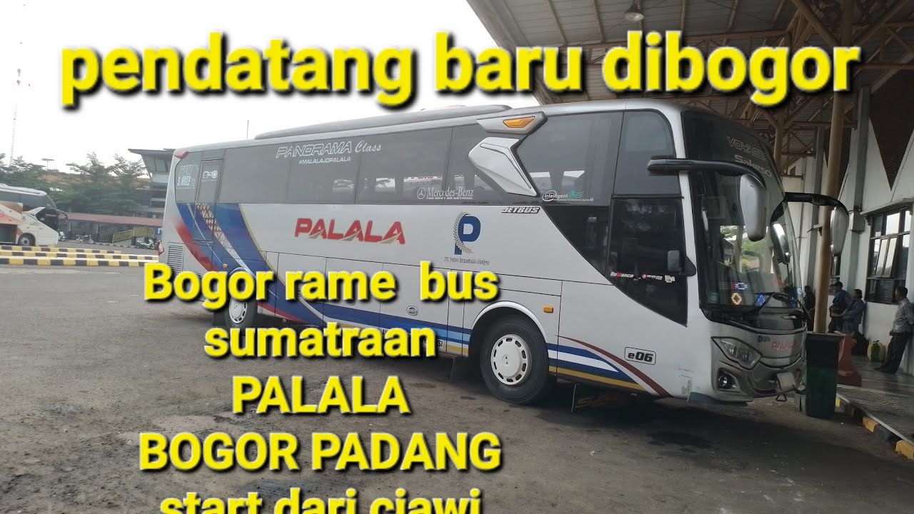 PENDATANG BARU DIBOGOR // bus PALALA BOGOR PADANG - YouTube