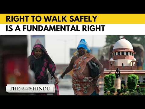 Supreme court declares safe footpaths a fundamental right in landmark judgment