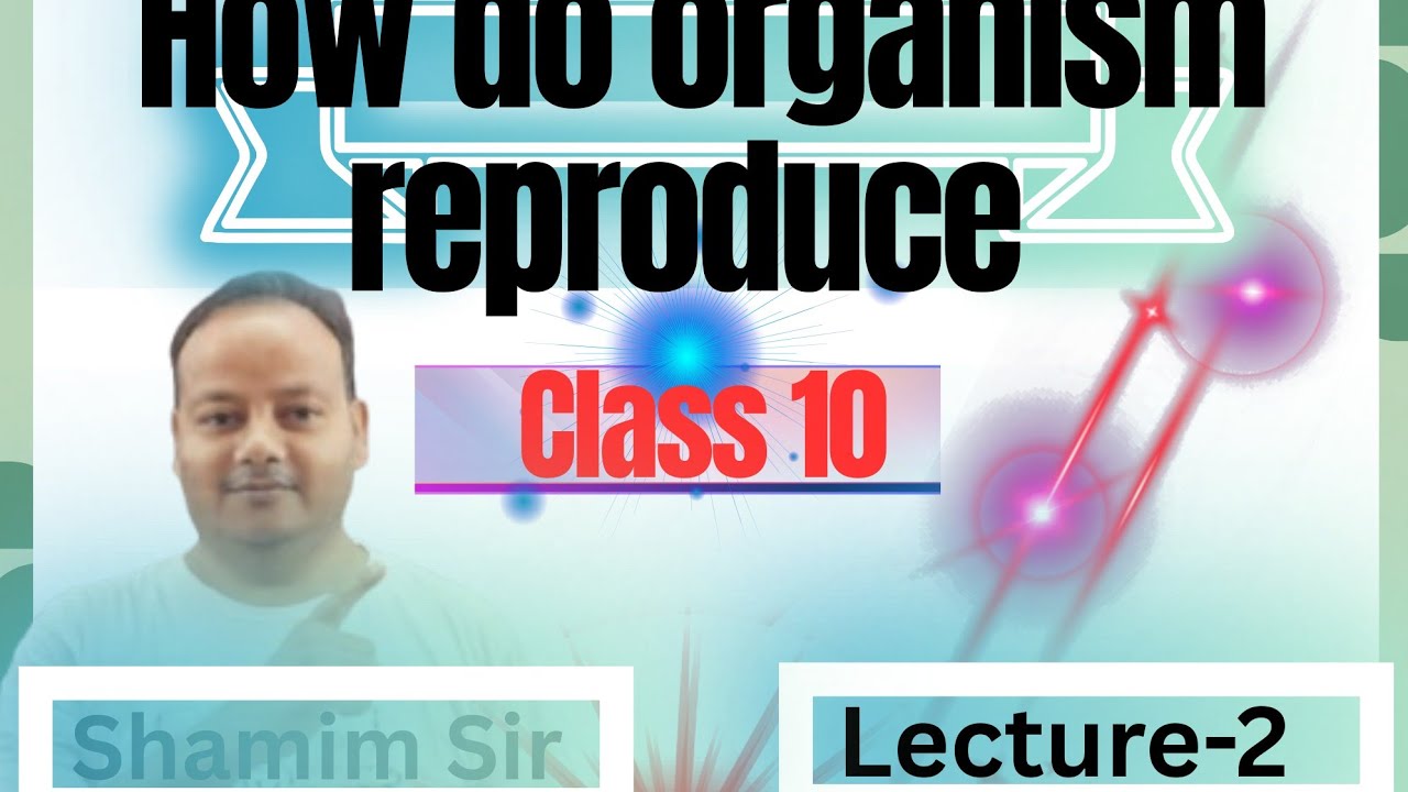L-4|How Do Organisms Reproduce | Class 10 Biology | Full Chapter ...