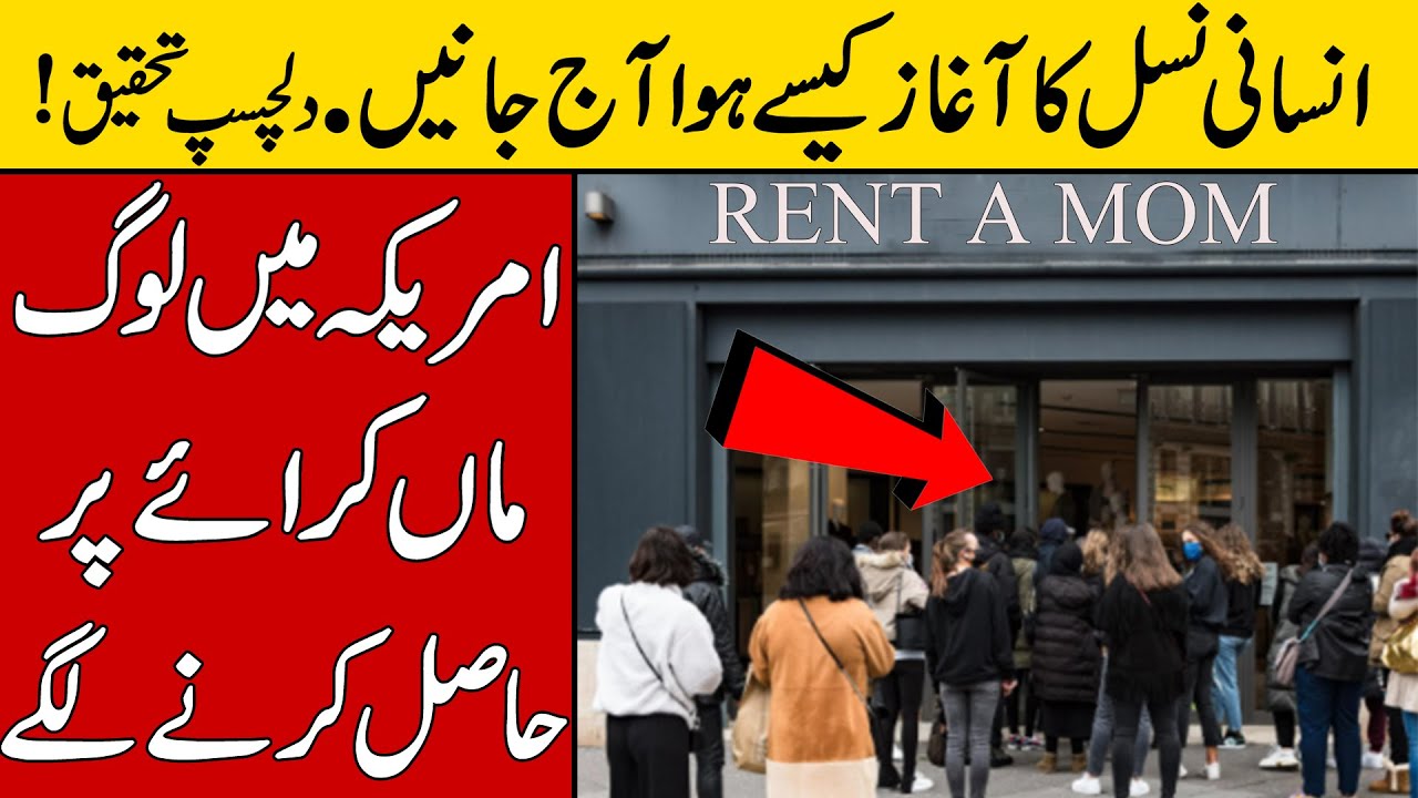 A city in America where you can rent a mother's relationship | Brain ...