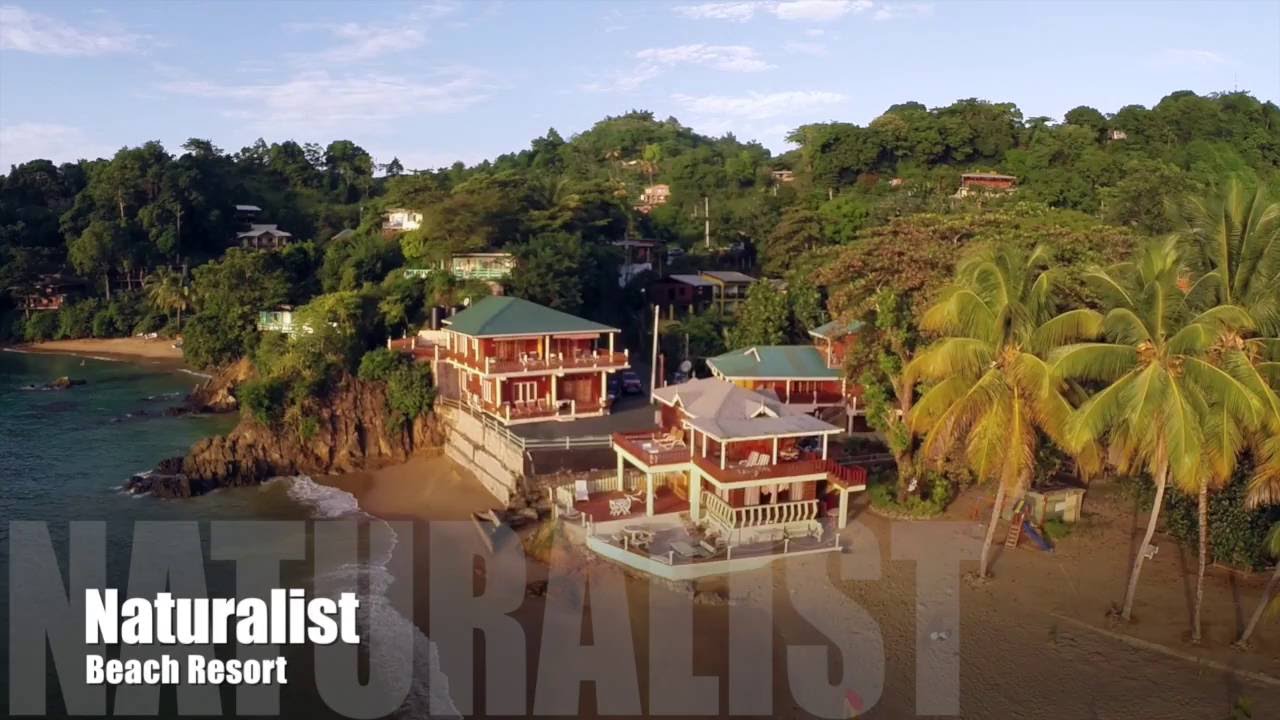Castara Naturalist Beach Resort, Tobago, Kingfish - YouTube