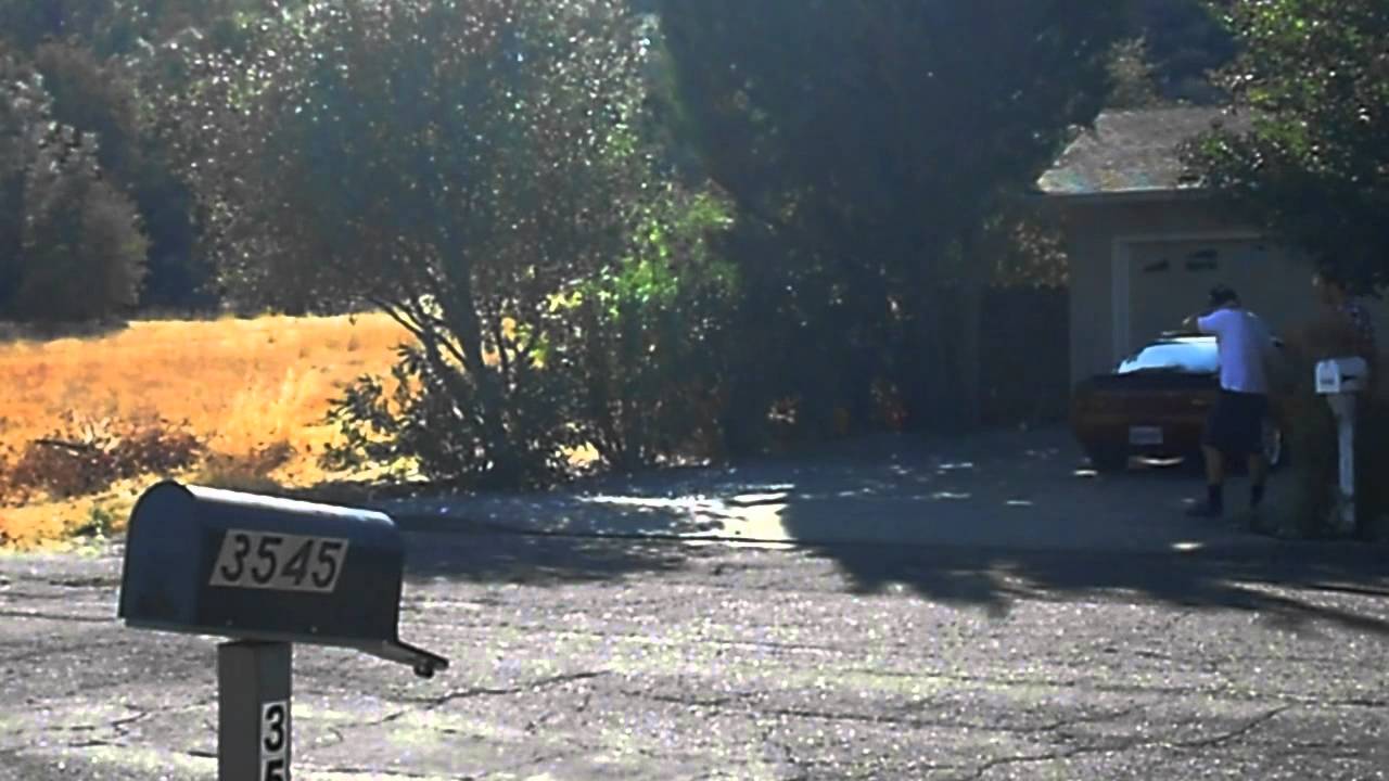 Cults Go Outside - Sunday with Oscar - YouTube