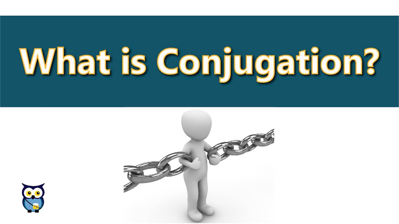What is Conjugation? - YouTube