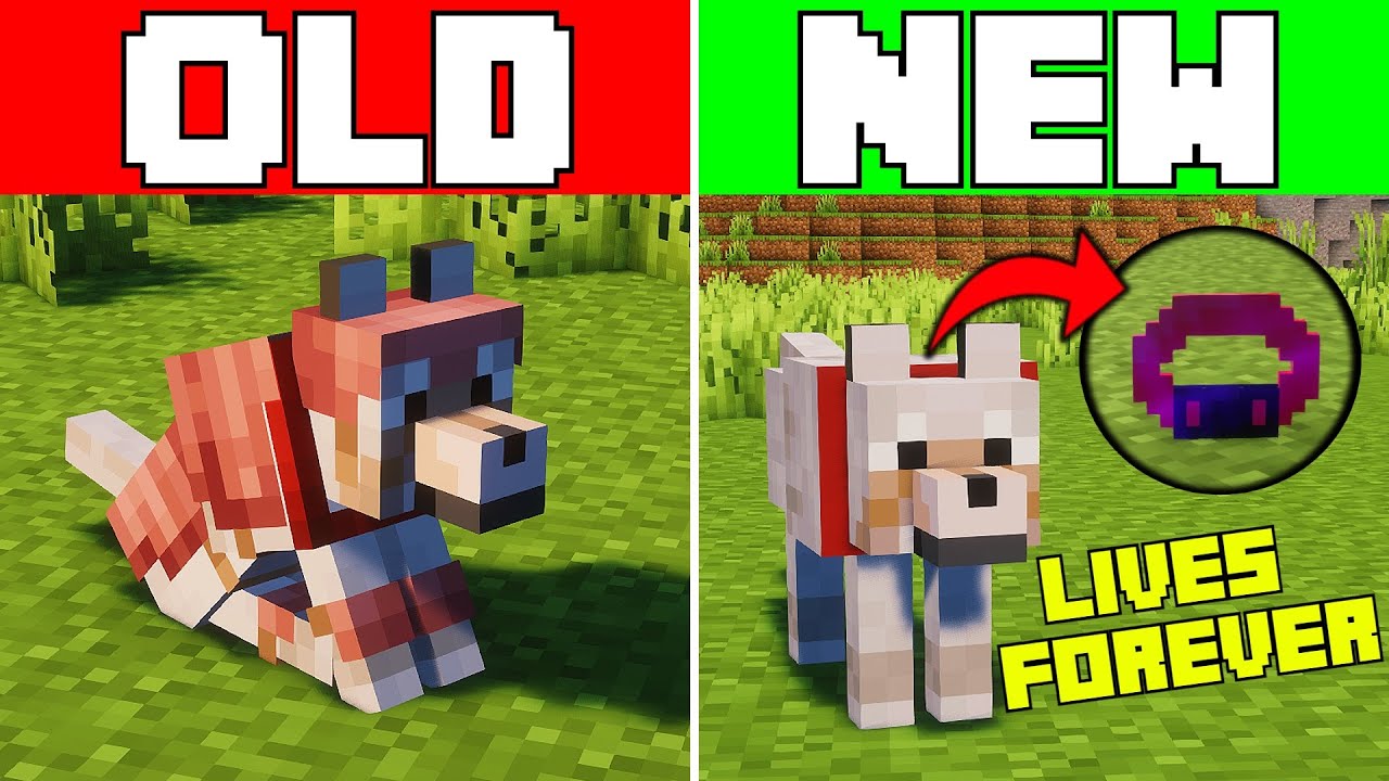 I Made Minecraft Dogs EVEN Better! - YouTube
