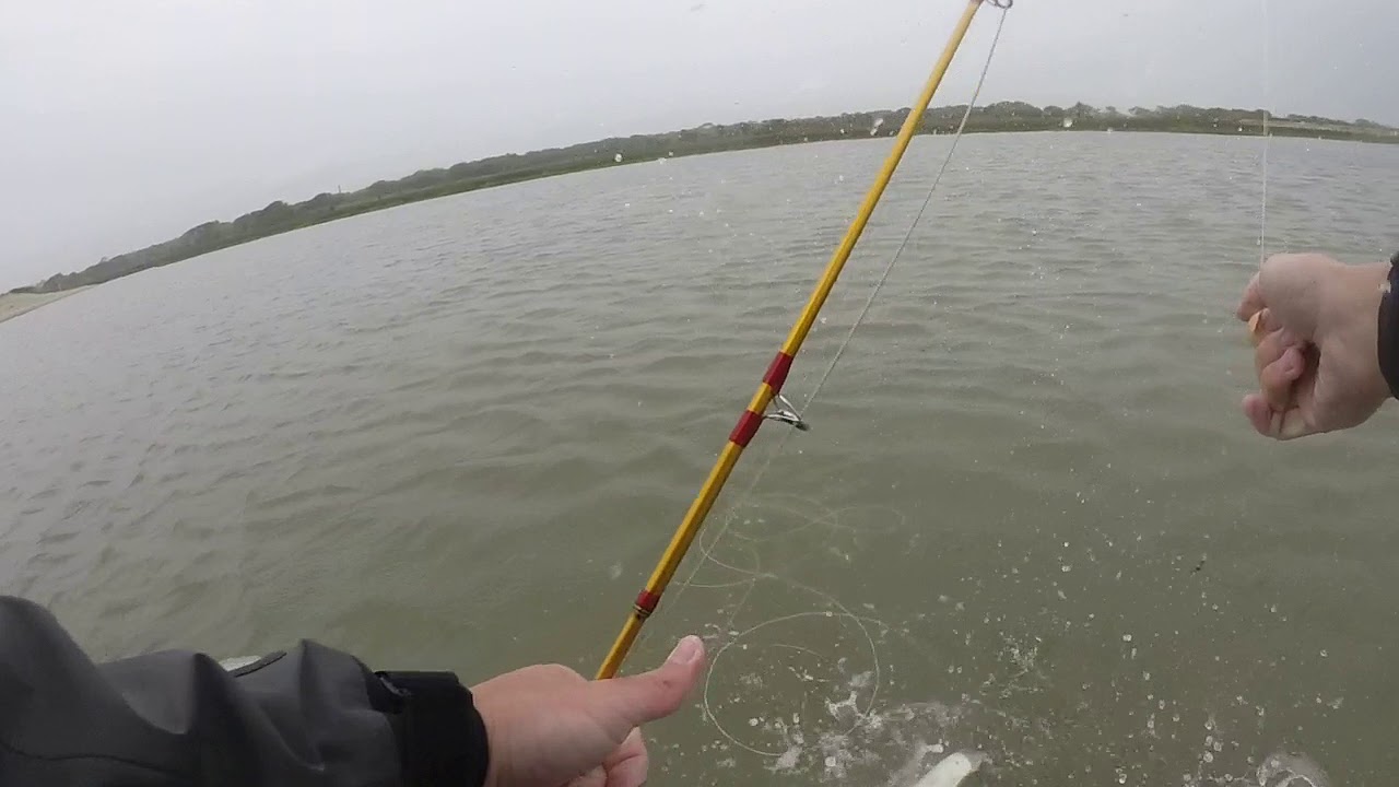 Flounder on Fly - YouTube
