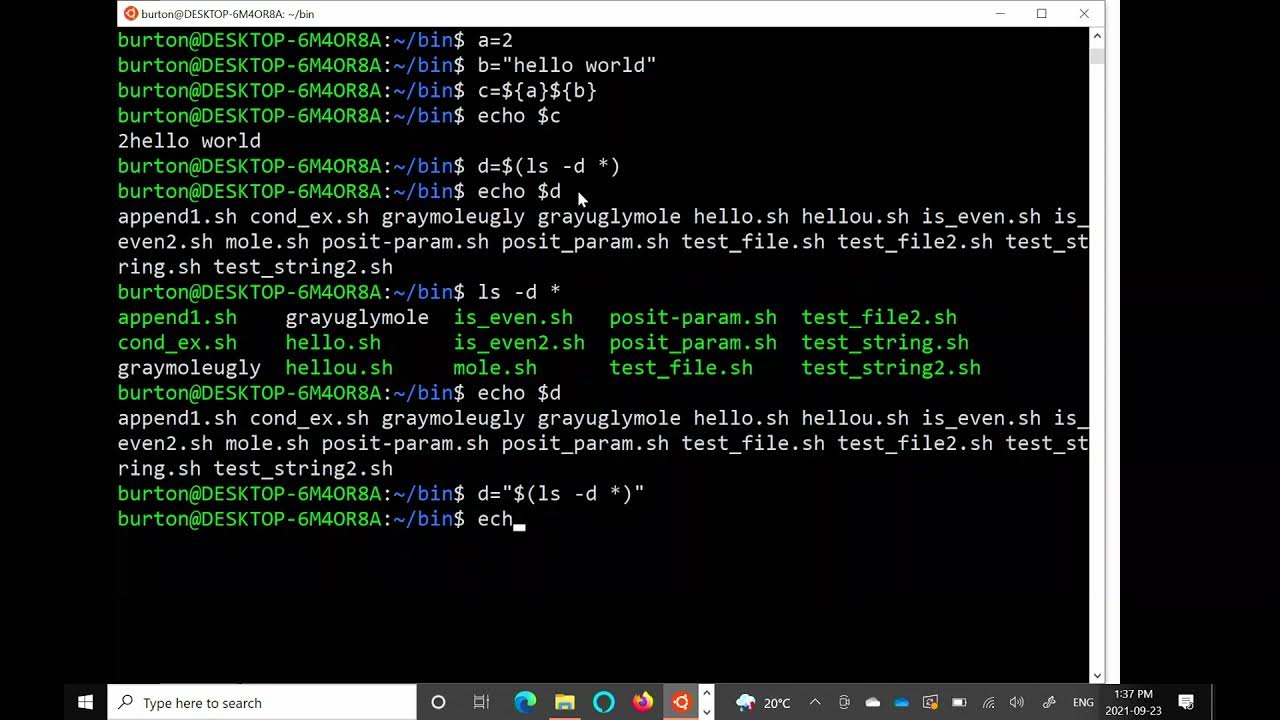 CISC220 Lecture 08 - YouTube