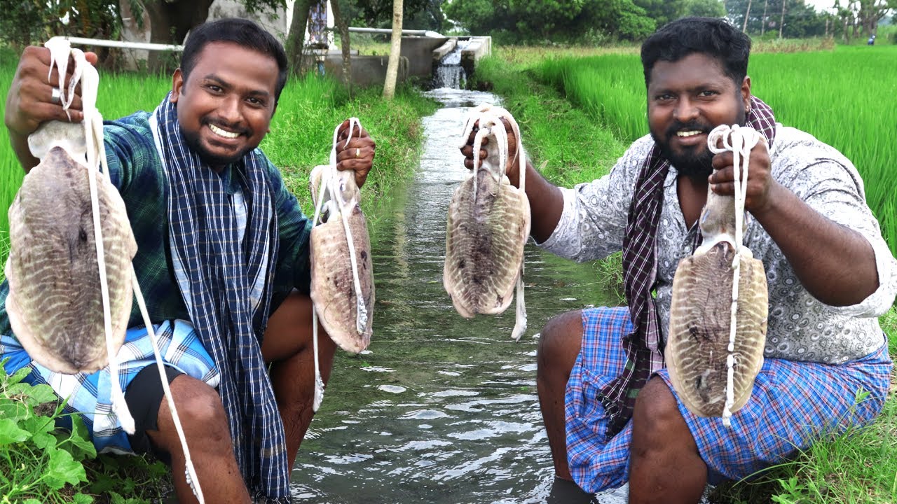 CUTTLE FISH FRY | BIG Cuttle Fish Fry Recipe | Kanava Fish | Village ...