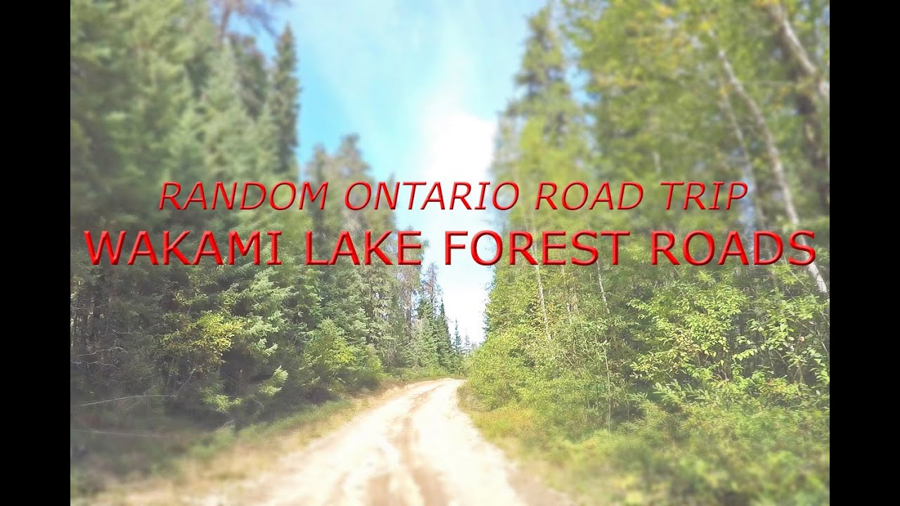 Random Ontario Road Trip: Wakami Lake Forest Roads (September, 2021 ...