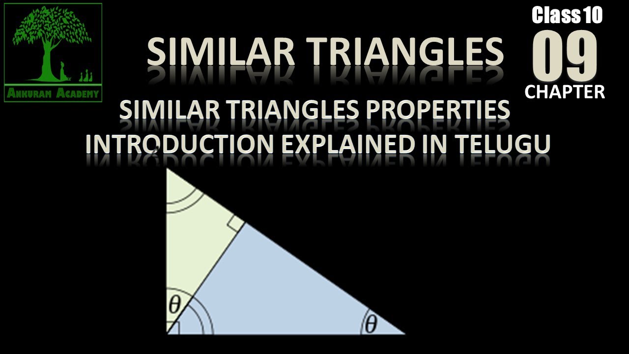 Class 10 similar triangles - YouTube
